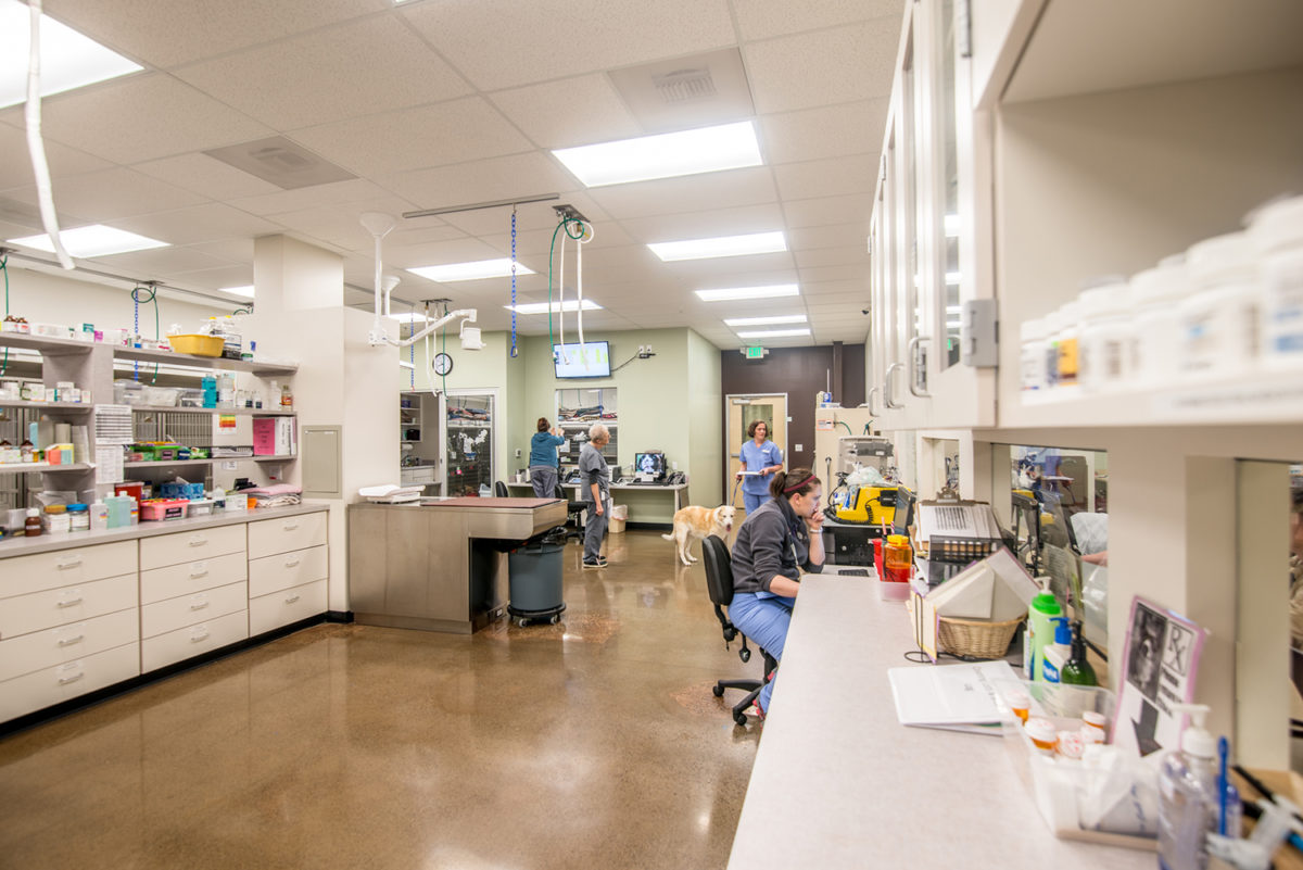 Columbia River Veterinary Specialists - R&H Construction