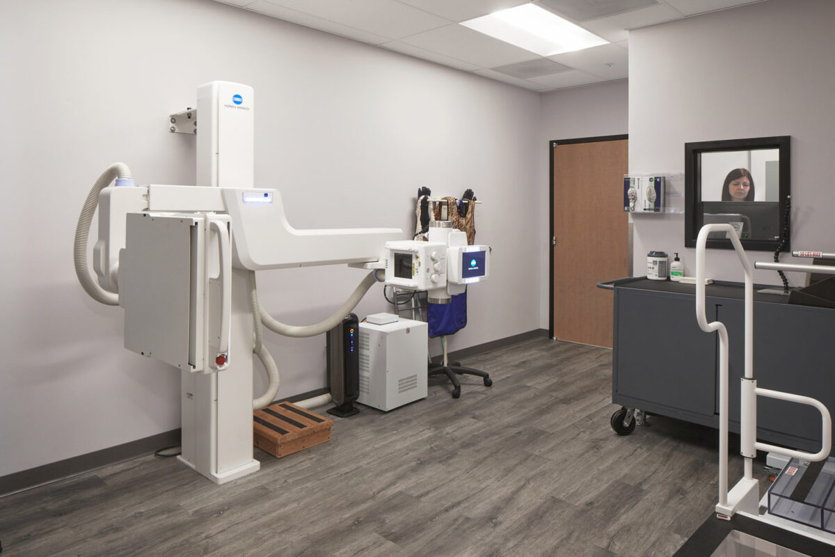 Rebound Orthopedics & Neurosurgery - R&H Construction | Medical